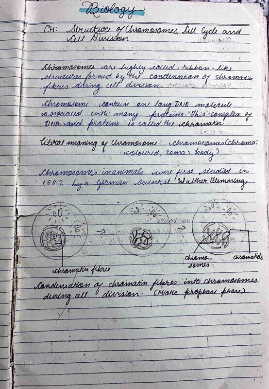 BIOLOGY : CELL DIVISION, STRUCTURE OF CHROMOSOME,CELL CYCLE ...